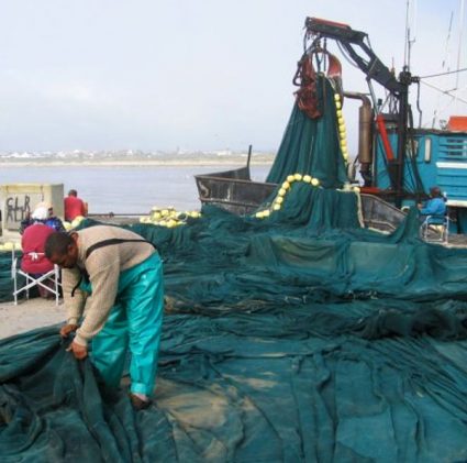 Biodegradable-fishing-nets – False Bay Yacht Club
